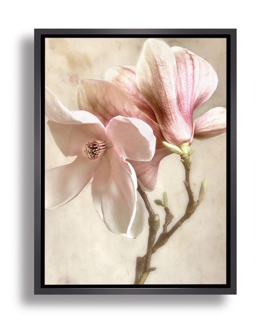 ART PRINTS – Tamara Day